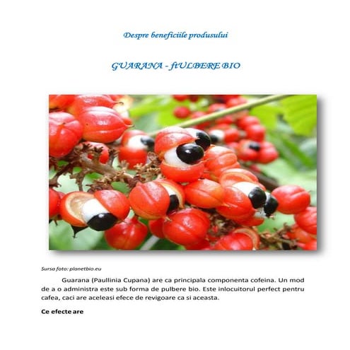 Guarana pulbere bio eco | PDF