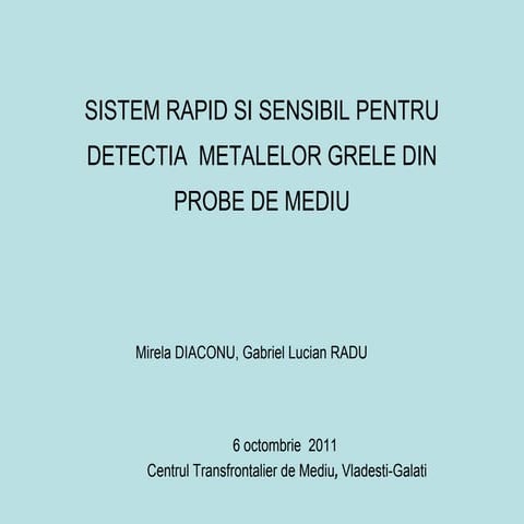 Prezentare Diaconu Workshop Prut | PPT