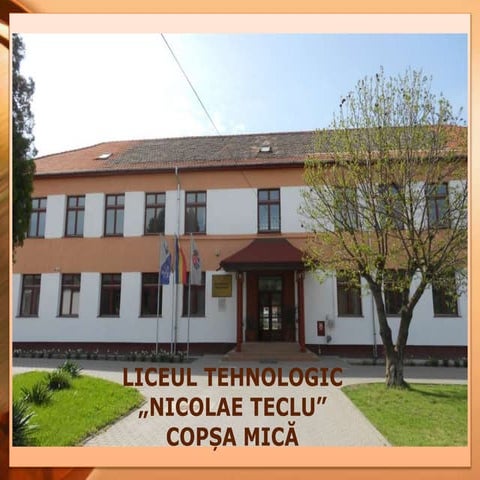 Prezentare oferta ed.2016 2017 ltnt copsa mica fin | PPTX