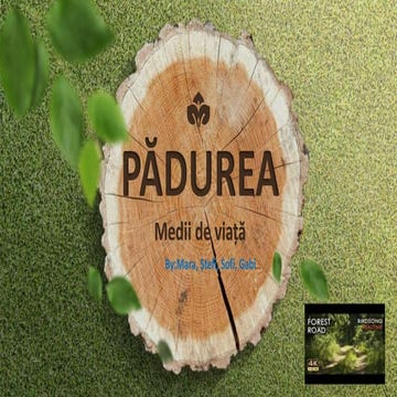 Prezentare padure . Lectia medii de viata | PPTX