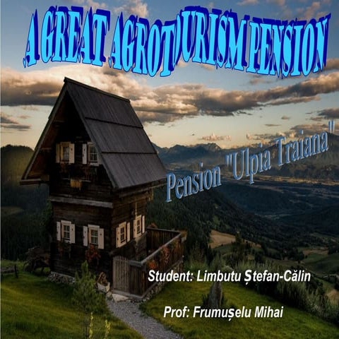 Prezentare Engleza Limbutu Calin | PPT