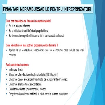 Prezentare programe pe scurt | PPT