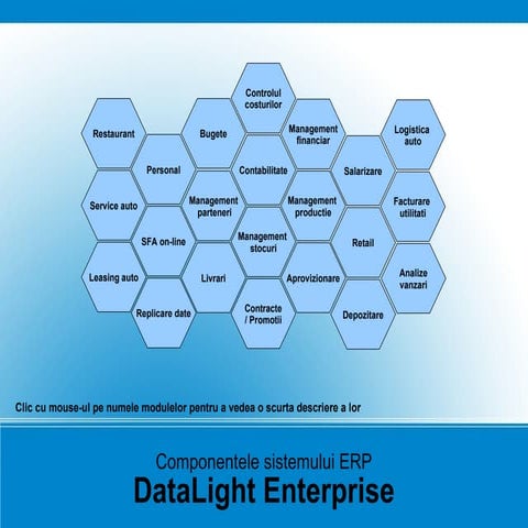 Prezentare Sistem ERP DataLight Enterprise 2010 | PPT