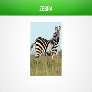 Prezentazioa zebra | PPT