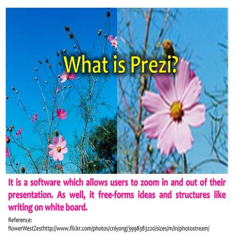 Prezi | PPTX