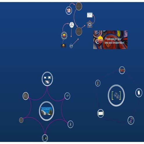 GAPSA Organization and Goals | PDF