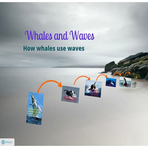 Prezi on whales | PPT