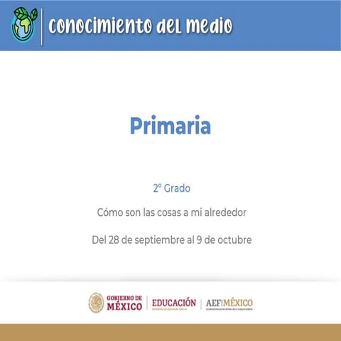 Cómo son las cosas a mi alrededor | PDF