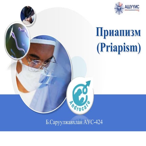 Priapism (Приапизм) | PPT