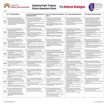 MYP Science Year 4-5 Criterion D Rubric | PDF