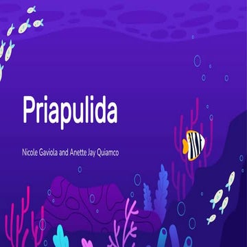 Priapulida Report | PPTX
