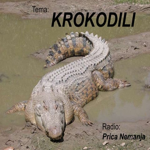 Prica Nemanja | PPTX