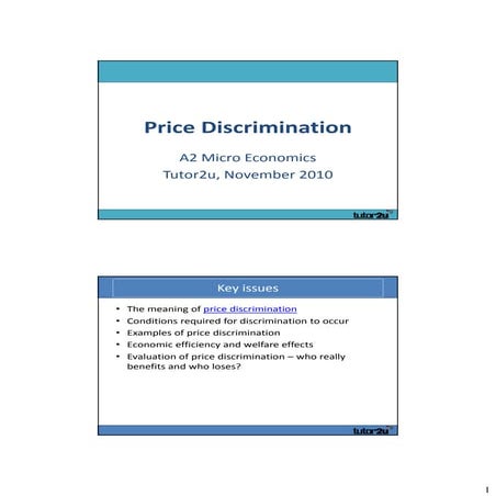 Price Discrimination - Revision Notes | PDF