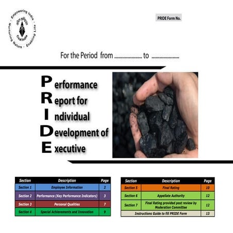 pride_form_with_guide for employee exe.pdf