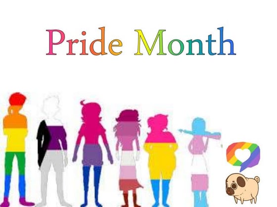 5 Best Ways to Celebrate Pride Month in 2024 | PDF | Debated Sensitive Social Issues | Sensitive ...