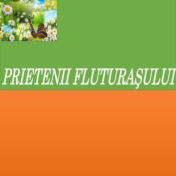 Prietenii fluturasului.pptx