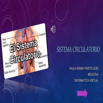 sistema circulatorio | PPTX
