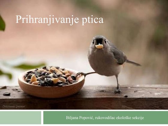 Pomatranje ptica na dravi | PDF