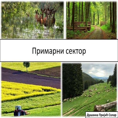 Primarni sektor | PPTX