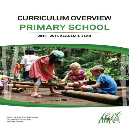 Primary School Curriculum | PDF