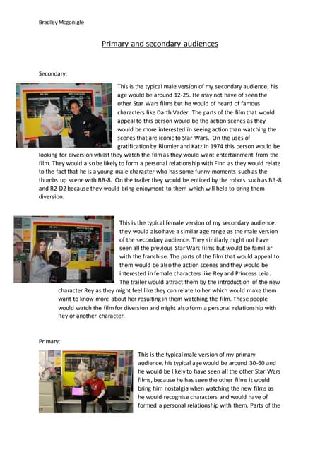 Task 3 audience profiling research | PDF