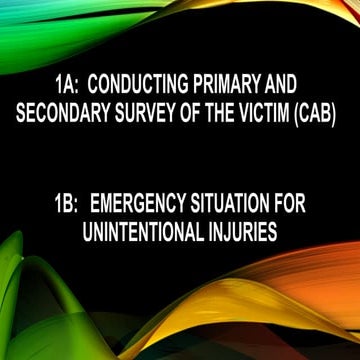 The survey of the Scene and the Victim.pptx