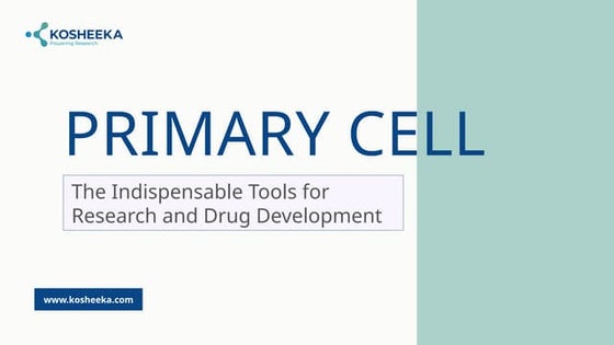 Endothelial vs. Epithelial Cells: A Comparative Insight into Cellular ...