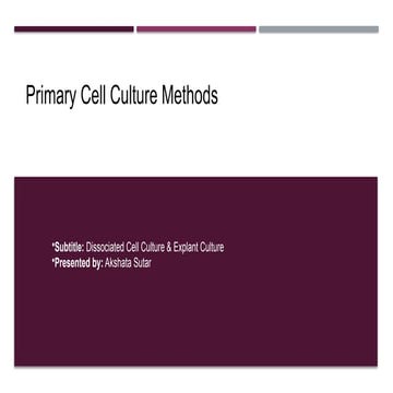 Primary cell culture by using dissociated cells and explant culture ...