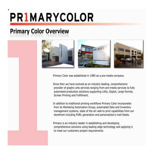 Primary Color - What we do | PPT