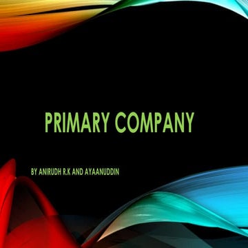 PRIMARY COMPANY.pptx