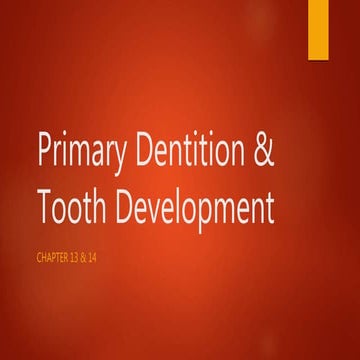 Primary Dentition and Tooth Development | PPTX