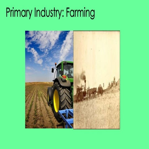 Primary Industry Farming | PPT