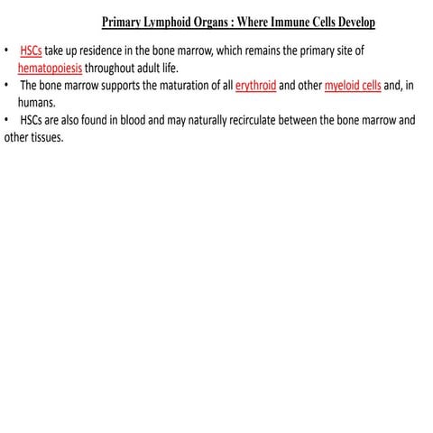 Primary lymphatic organs system of human | PPT