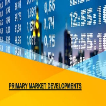 Primary market developments | PPTX