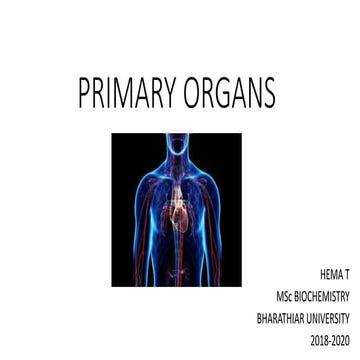 Primary organs | PPTX
