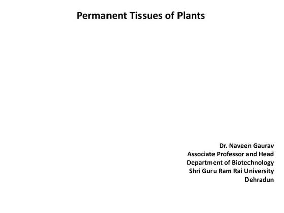PLANT TISSUES grd10E.pptx | Gardening | Home & Garden