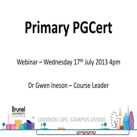 Primary PG Cert Webinar | PPTX | Postgraduate Education | College Education