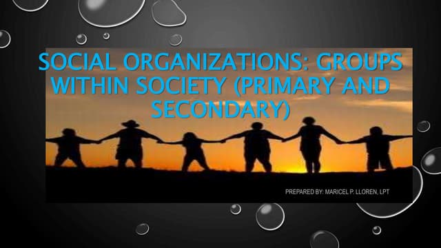 Primary and secondary groups | PPT