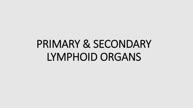 Lymphopoiesis-.ppt