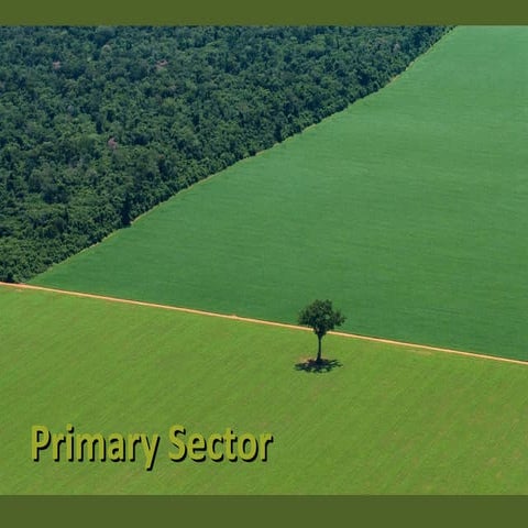 Main sectors of an economy | PPTX