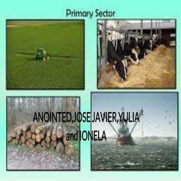 Unit 2 - Activities for the Primary Sector | PDF