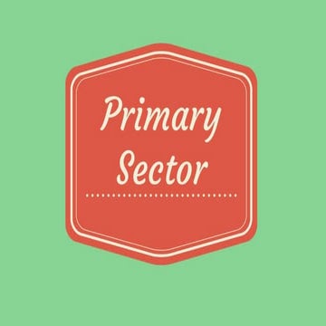 Primary sector flashcards | PPT