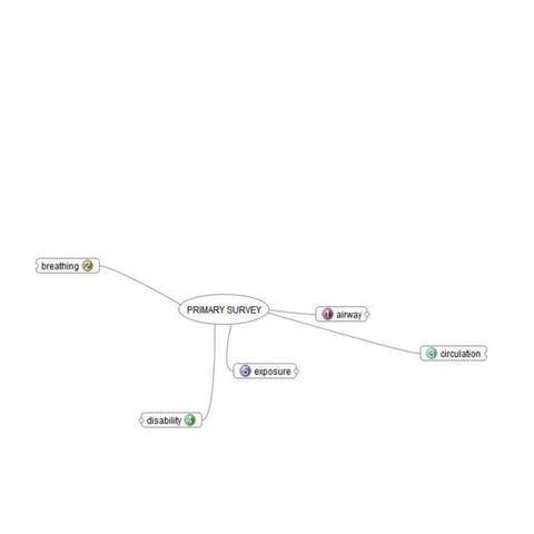 Primary Survey | PPT