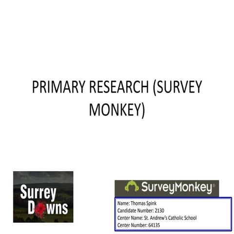 Primary target research presentation | PPT