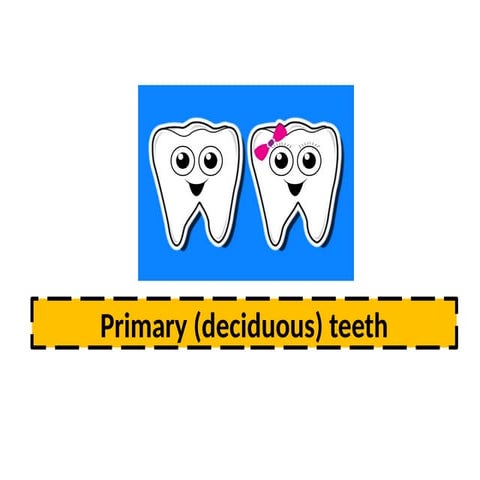 Primary teeth in Comparision to permanent dention .pptx | Oral care ...