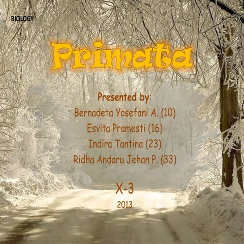 Primata | PPTX