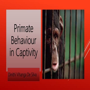 Primate behaviour in captivity | PPTX