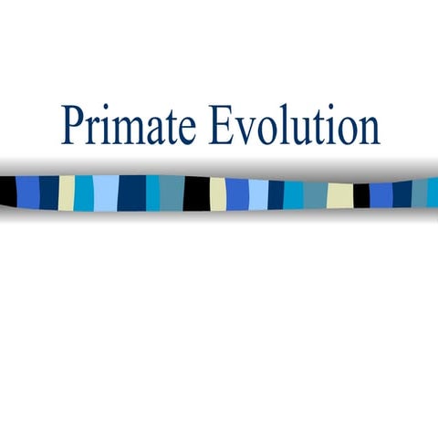 Primate Evolution | PPT