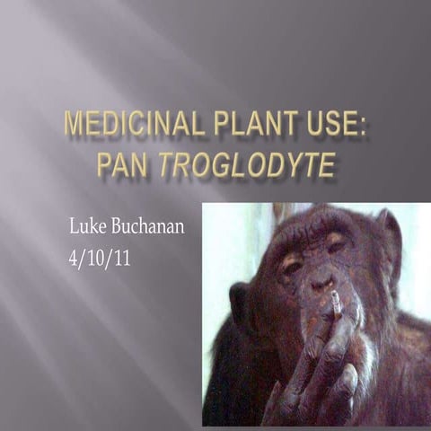 Zoopharmacognosy Presentation | PDF