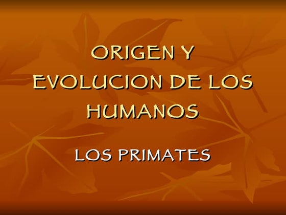 Ficha evolución | PDF